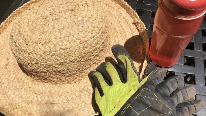 Sacramento Digs Gardening: September heat wave dangerous for gardeners