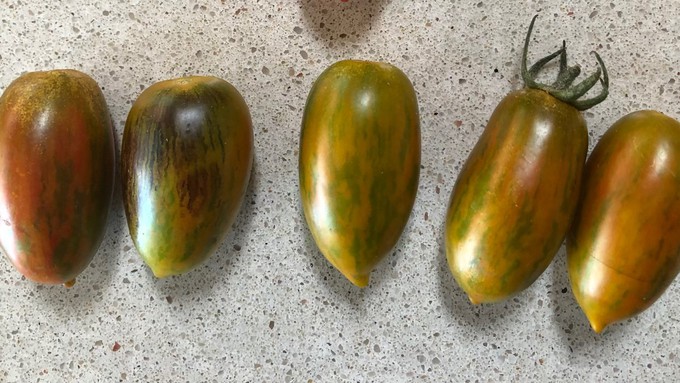 Sacramento Digs Gardening: Wild Boar's Brad Gates to talk tomatoes at ...