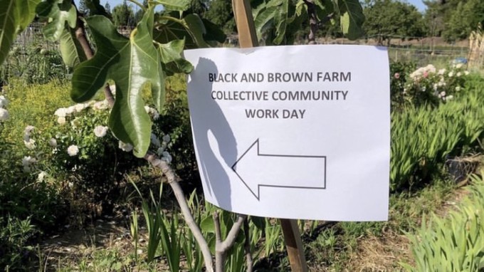 Sacramento Digs Gardening: Grants available for Sacramento-area garden ...