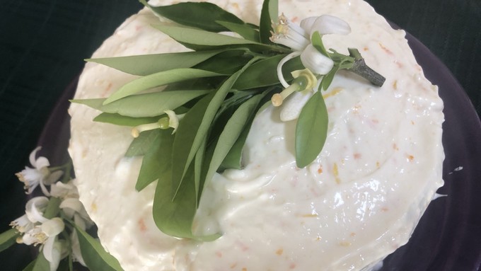 Sacramento Digs Gardening: Time for cake! SDG hits another milestone