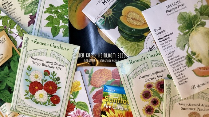 Sacramento Digs Gardening: friday-post