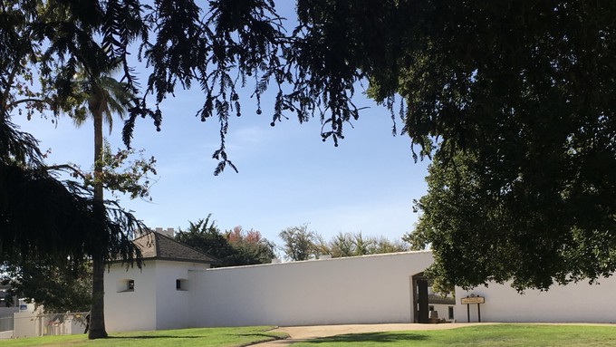 Sacramento Digs Gardening: Learn how to identify Sacramento trees — and ...