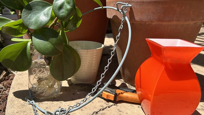 Sacramento Digs Gardening: Shepard Center hosts community yard sale